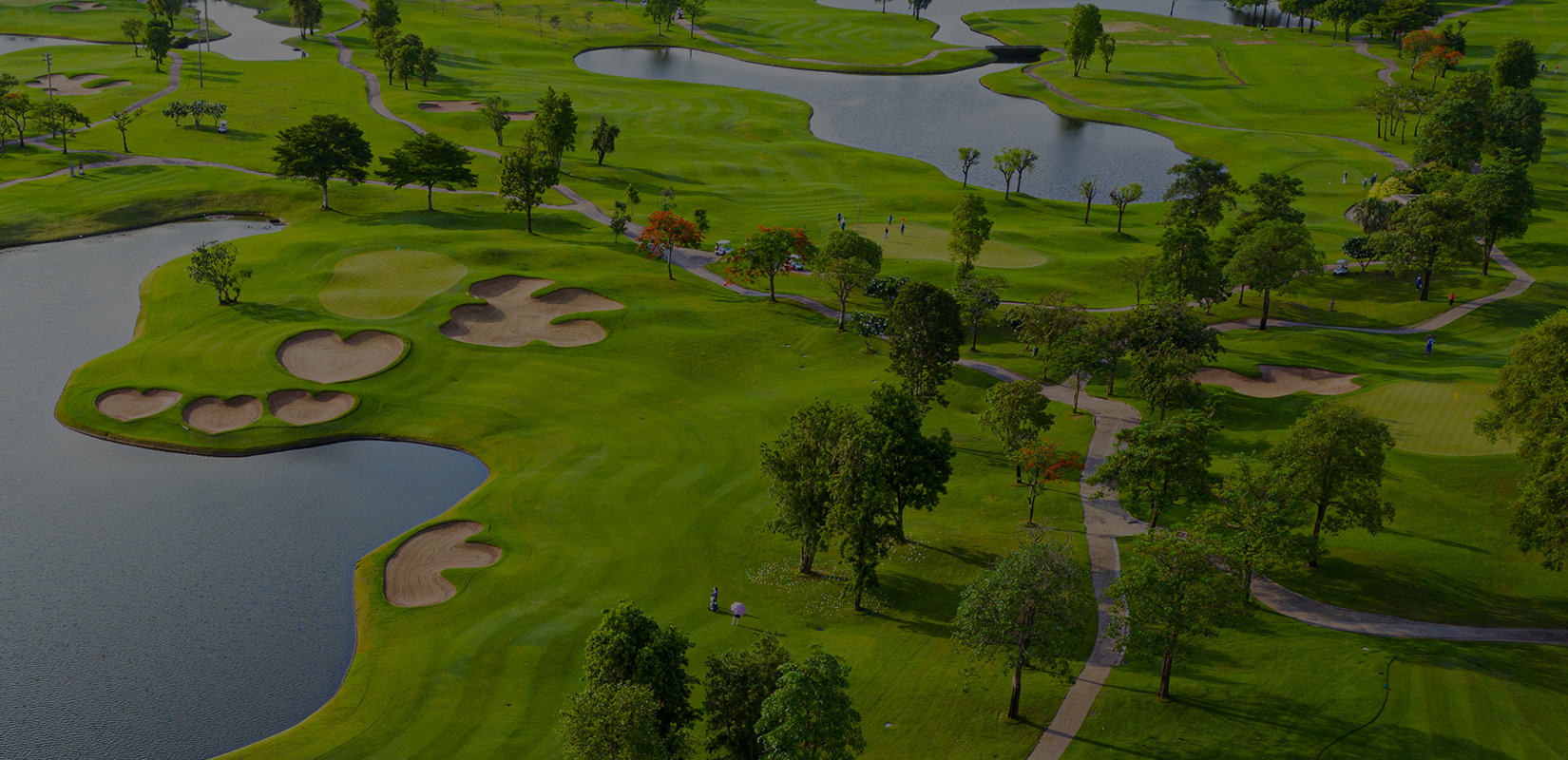 Plant Fitness – Turfgrass Nutrition